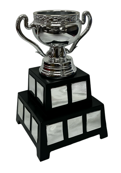 Official Online Store of the American Hockey League